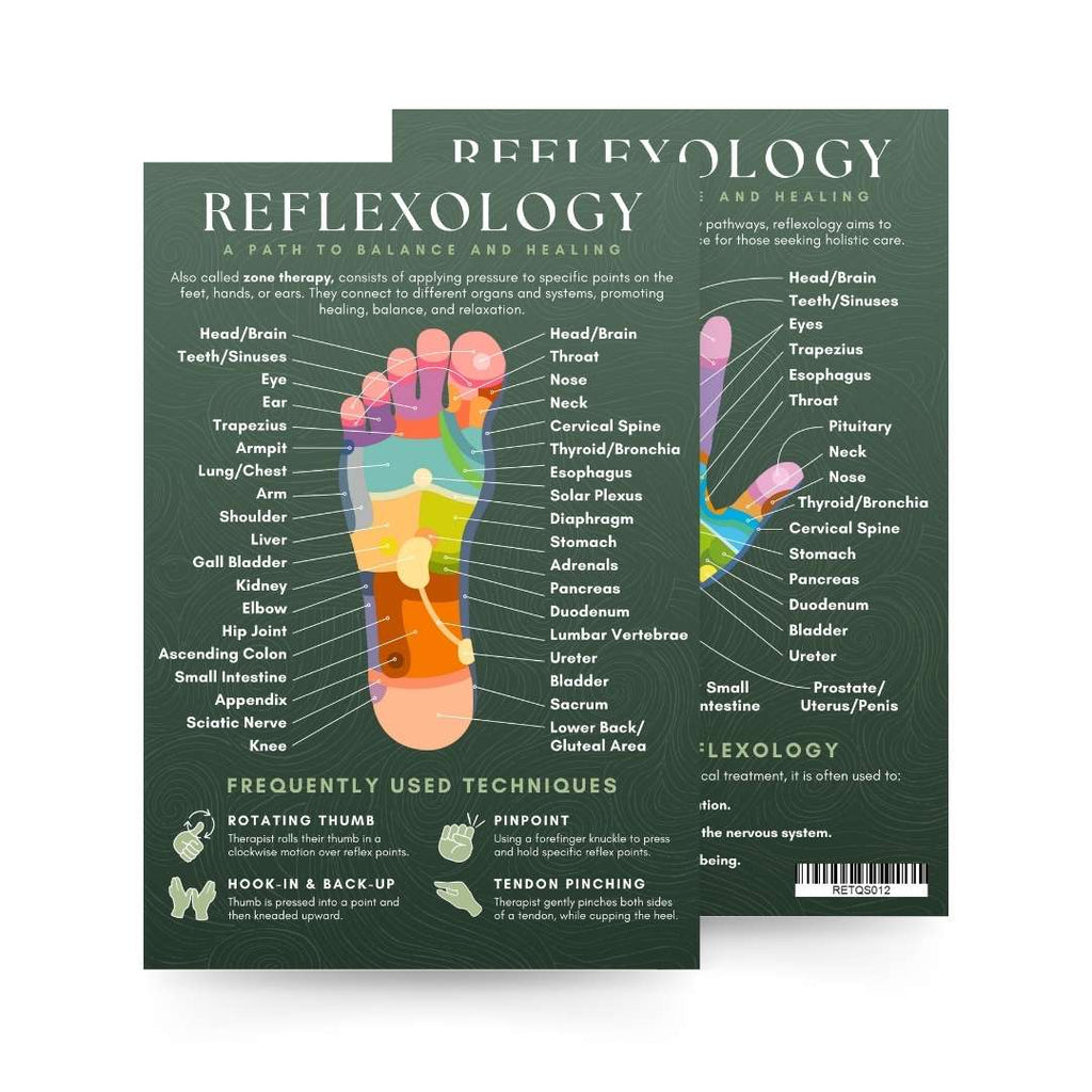 QuickStudy Guide 2.0 - Reflexology (PDF File) – Stonebridge Imports