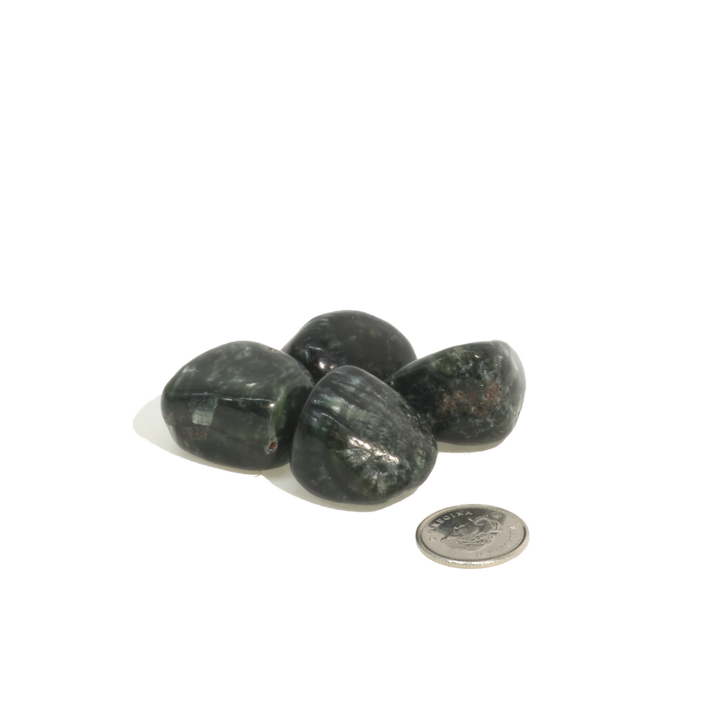 Seraphinite A Tumbled – Stonebridge Imports