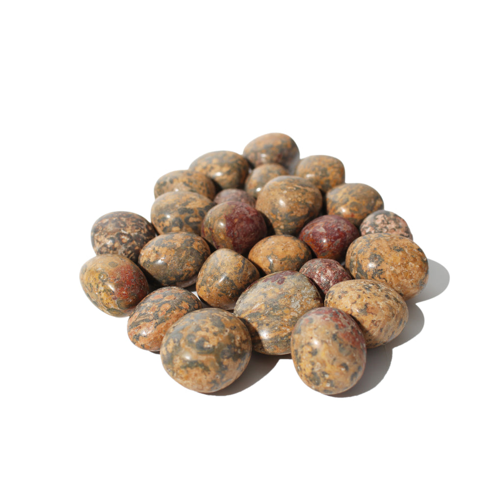 Red Leopardskin Jasper Tumbled Stones – Stonebridge Imports