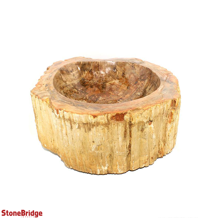 Petrified Wood Sink Bowl – Stonebridge Imports